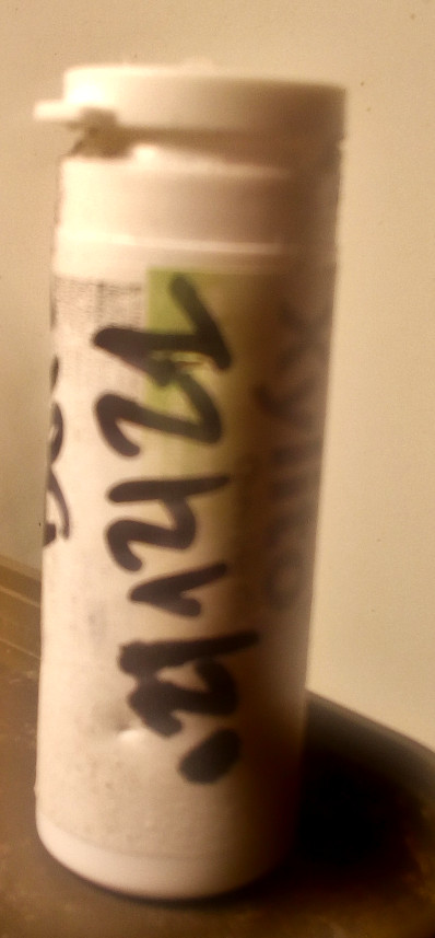 Angélique des bois – Berdouille